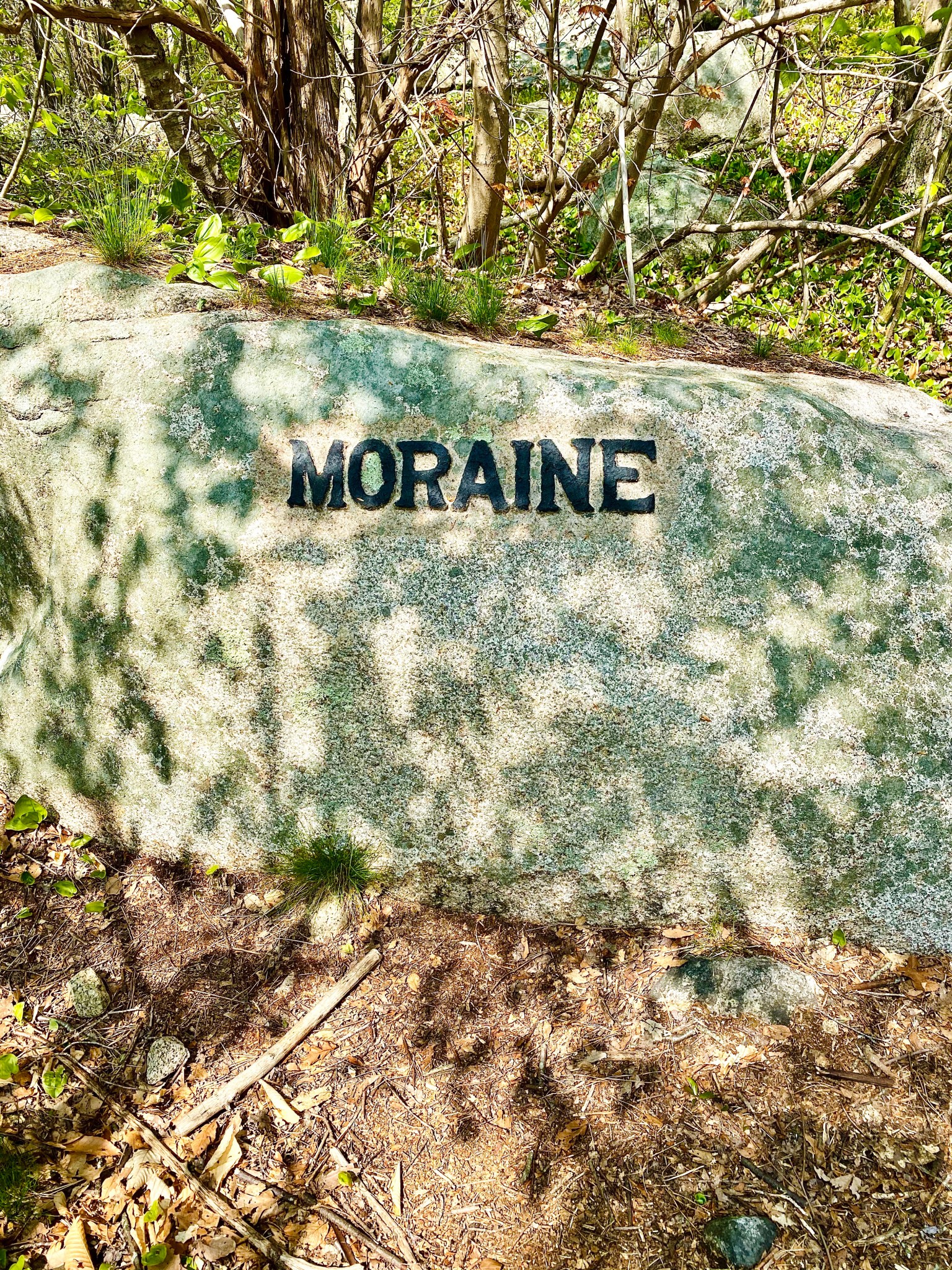 Curious New England, A Walk Through Babson Boulder Trail and the Legacy ...