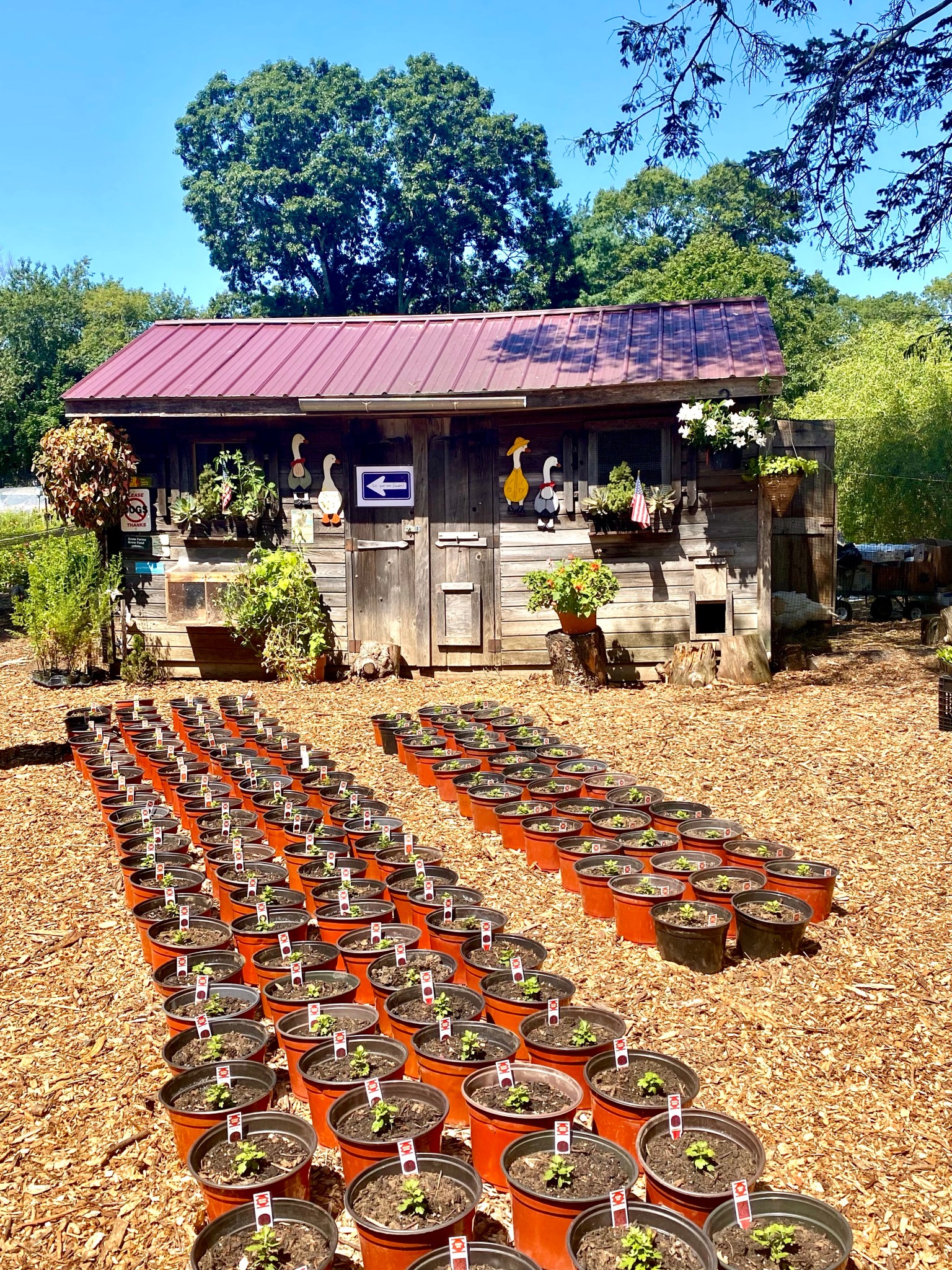 Northern Lights Farm Stand, Ipswich, Massachusetts | The Little Blog of ...