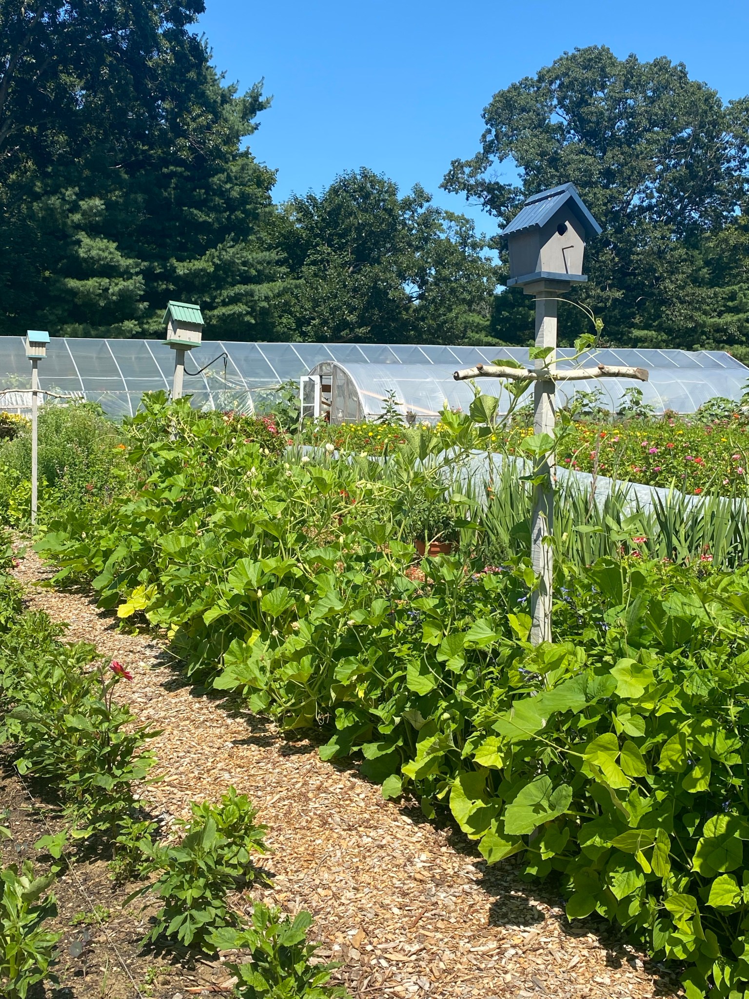 Northern Lights Farm Stand, Ipswich, Massachusetts | The Little Blog of ...